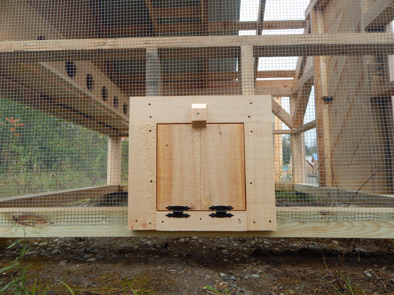 12" W X 12" H Chicken Coop Door • Jamaica Cottage Shop