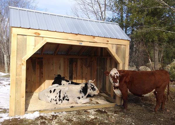 Run-In Basic 10x14 Fully Assembled • Jamaica Cottage Shop