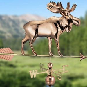 Sale • Jamaica Cottage Shop